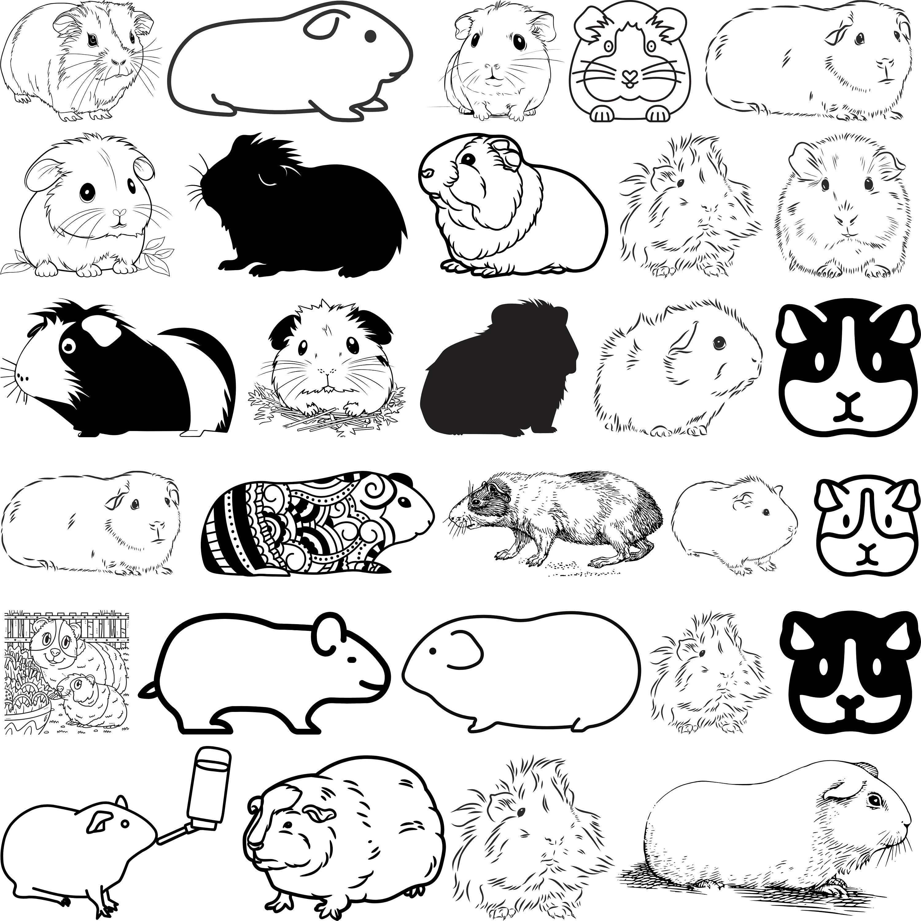 Guinea Pig Svg Bundle, Guinea Pig Svg, Guinea Pig Cut File for Circut ...