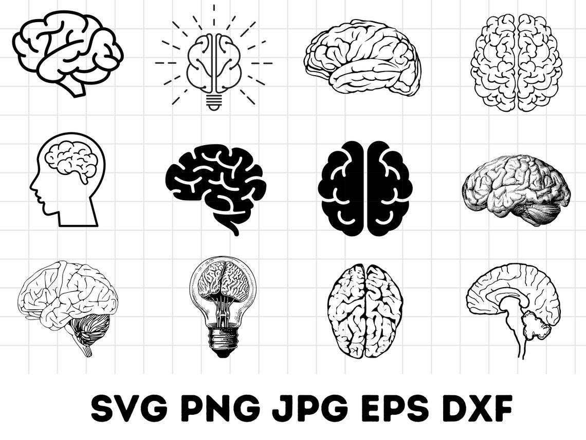 Brain SVG Bundle, Brain PNG Bundle, Brain Clipart, Brain SVG Cut Files ...