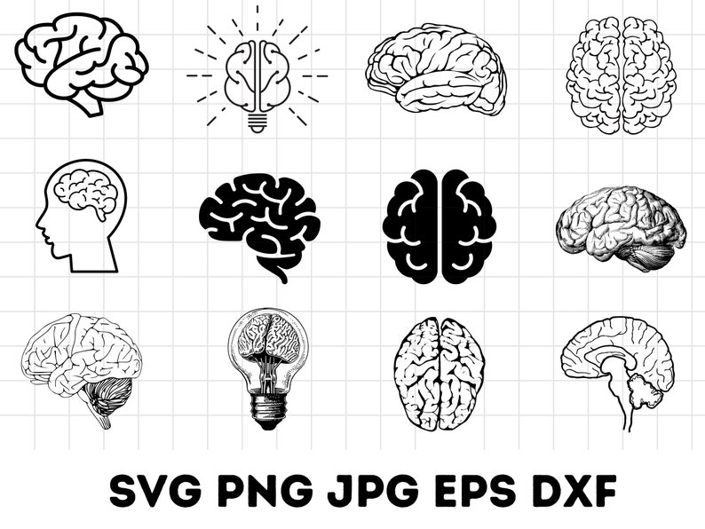 Brain SVG Bundle, Brain PNG Bundle, Brain Clipart, Brain SVG Cut Files ...