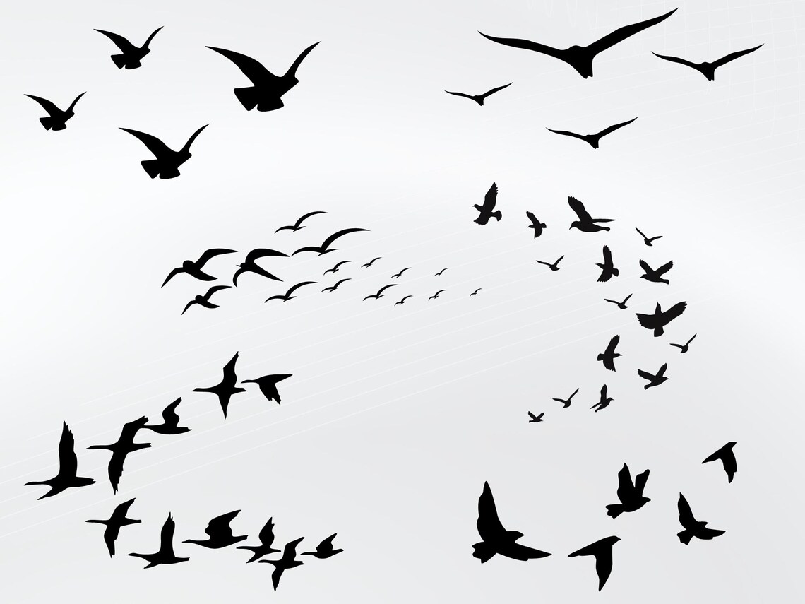 Flock of Birds Svg Bundle\ SVG\ JPG\ PNG\ Commercial Use\ Digital Cut ...