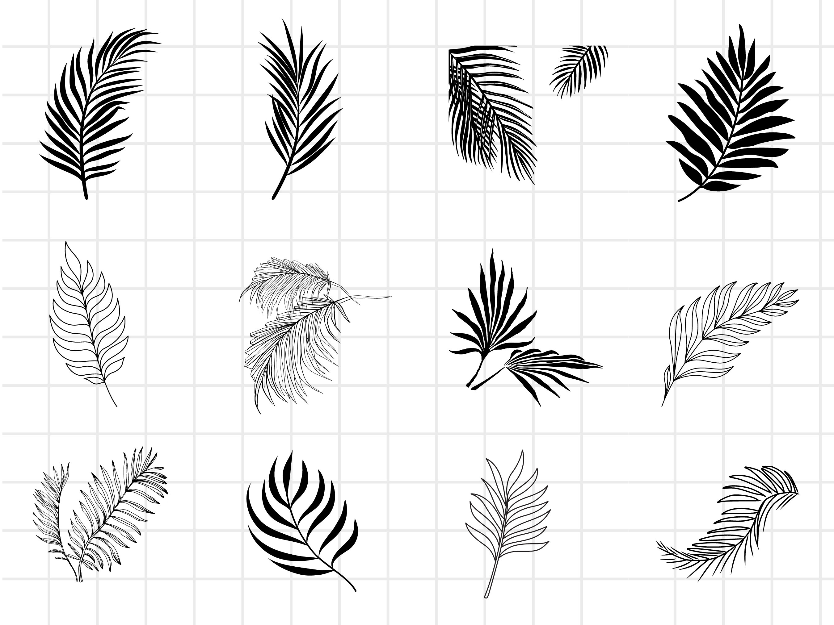 Palm Leaf SVG, Palm Leaves Svg, Hand Drawn Leaves Svg, Palm Leaf Cricut ...