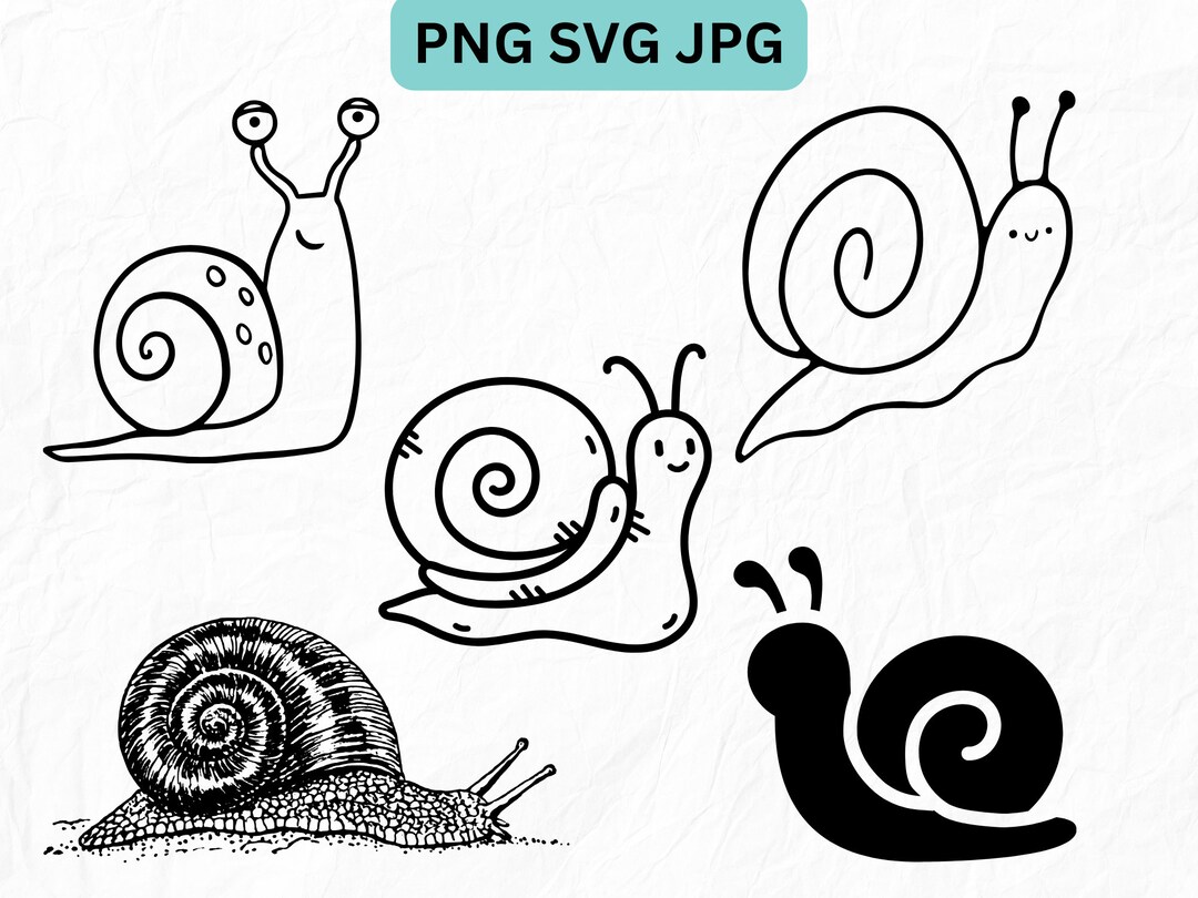 Snail SVG Bundle,snail Clipart, Cute Snail SVG, Woodland Animals Svg ...
