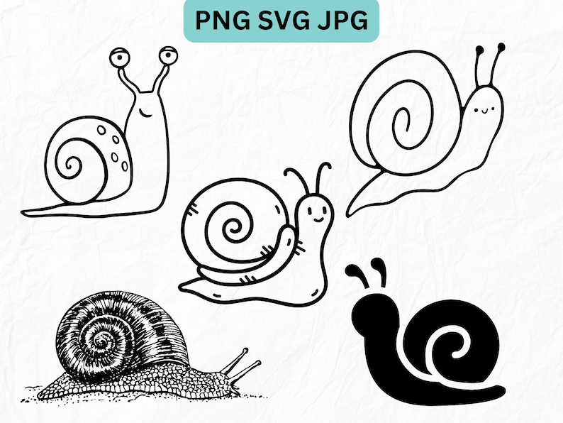 Snail SVG Bundle,snail Clipart, Cute Snail SVG, Woodland Animals Svg ...