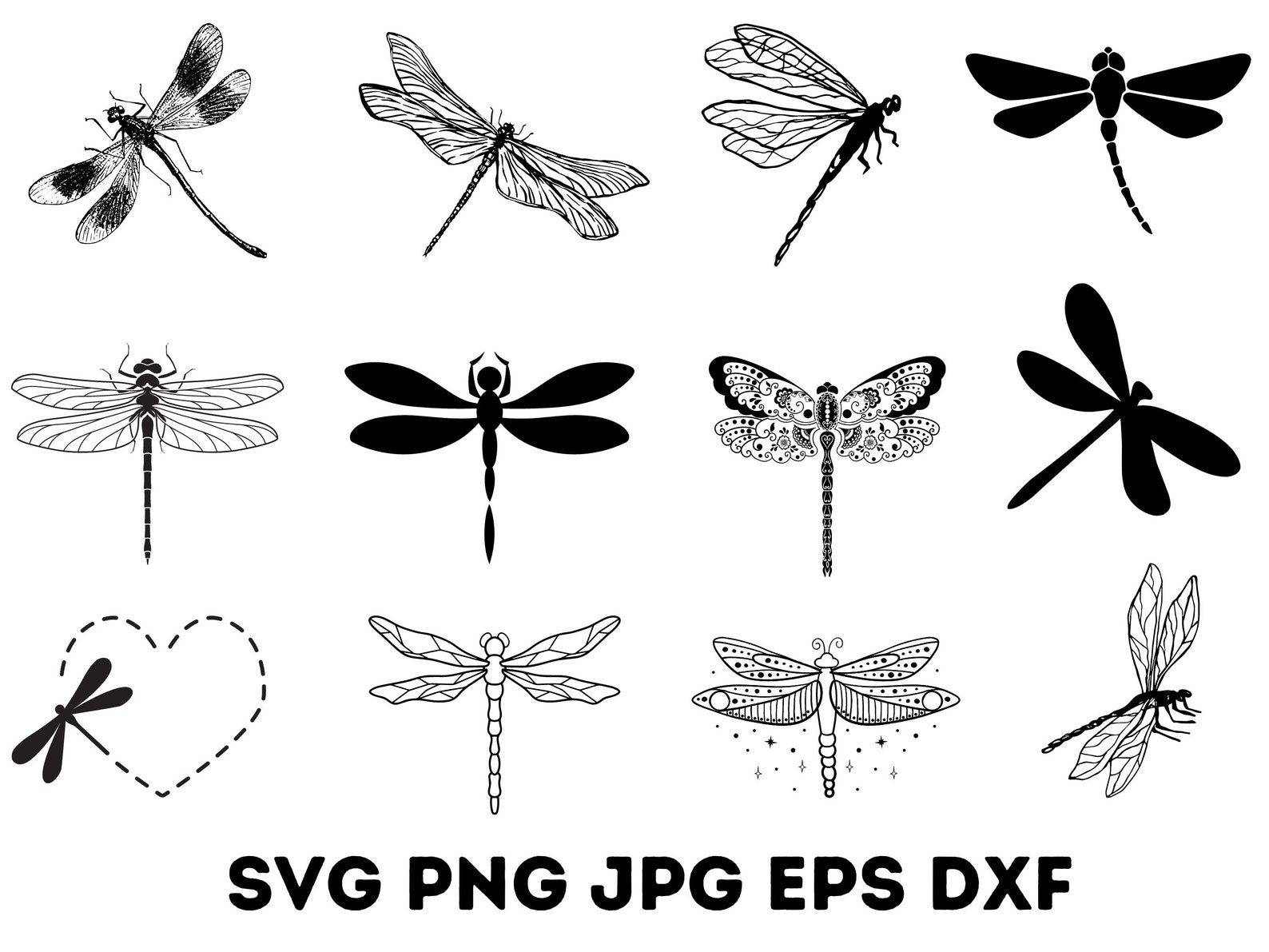 Dragonfly SVG Bundle, Insect Svg, Dragonfly Vector, Dragonflies, Wings ...