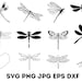 Dragonfly SVG Bundle, Insect Svg, Dragonfly Vector, Dragonflies, Wings ...