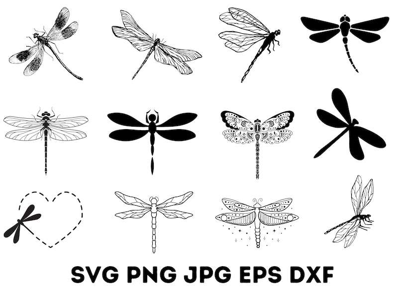 Dragonfly SVG Bundle, Insect Svg, Dragonfly Vector, Dragonflies, Wings ...