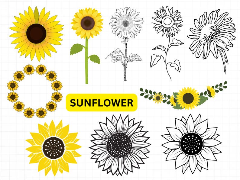 Sunflower SVG, Sunflower Cricut, Sunflower Clipart, Sunflower Cut File ...
