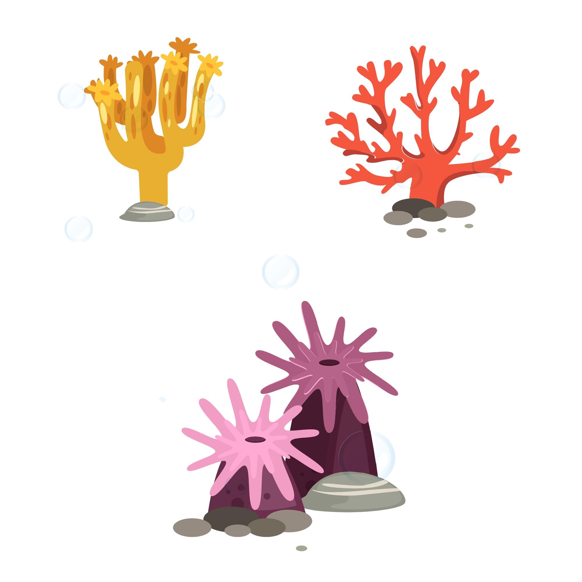 Coral Svg Bundle, Seaweed Clipart, Under the Sea Vector, Underwater ...