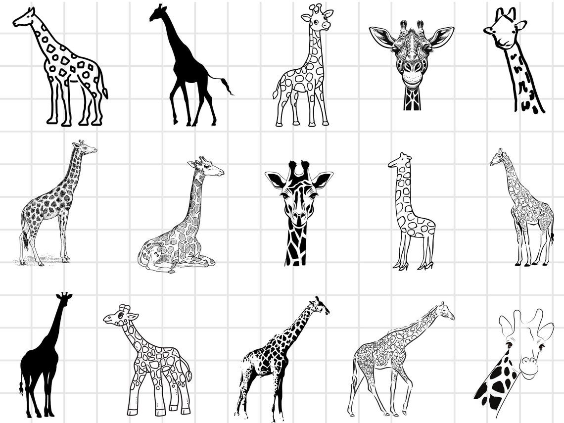 Giraffe SVG Bundle, Giraffe Face SVG, Wild Life Svg, Africa Animal Svg ...