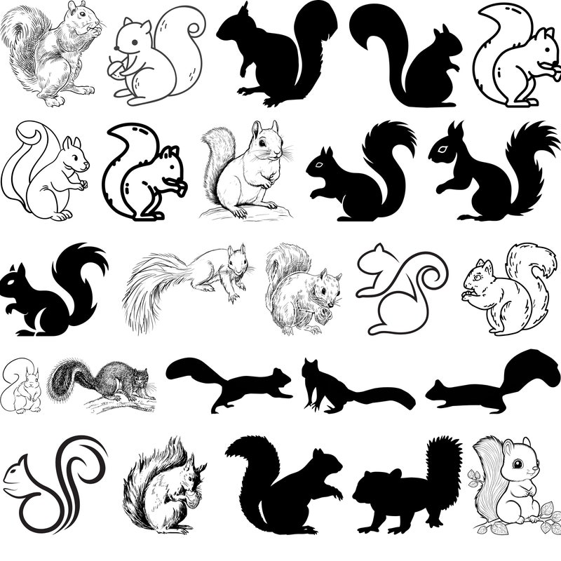 Squirrel Svg - Etsy