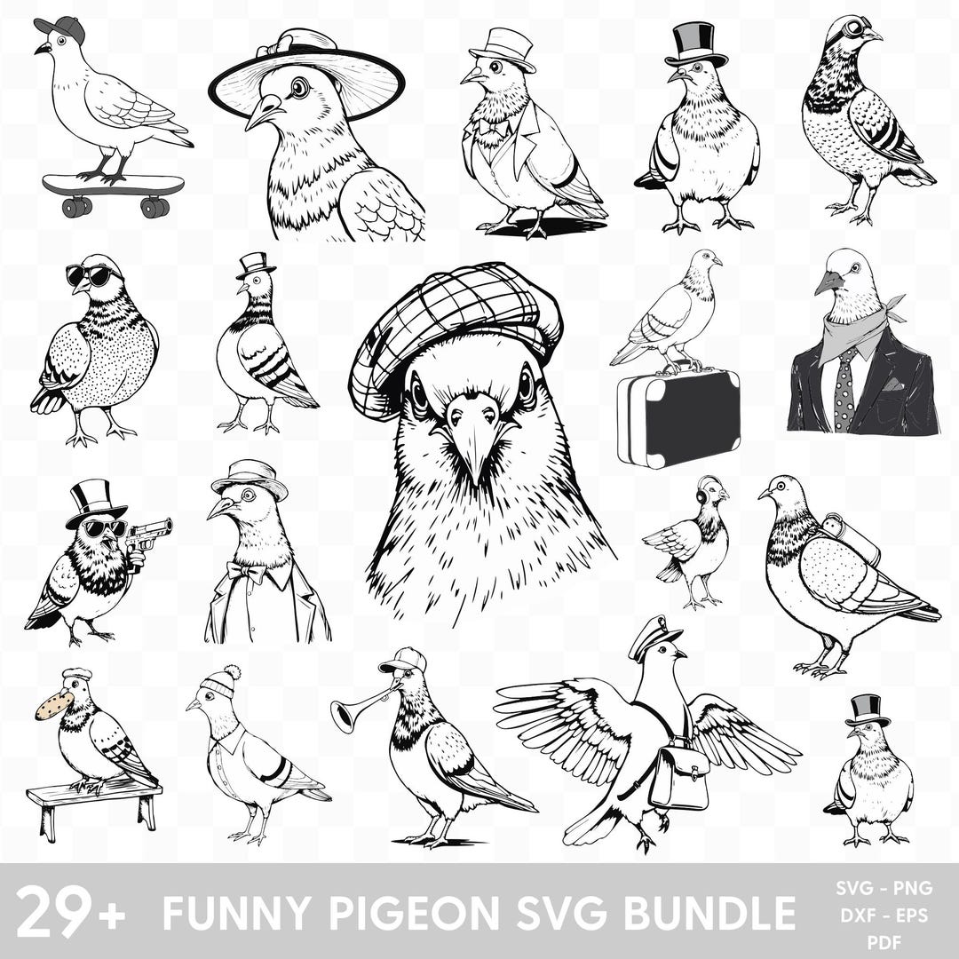 Pigeon Svg Bundle, Pigeon Png, Funny Pigeon Shirt, Pigeon Meme, Pigeon ...