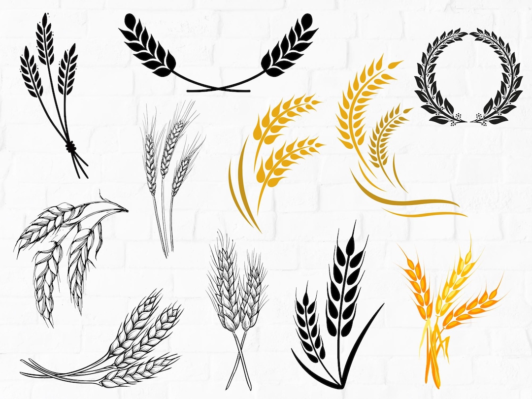 Wheat SVG, Grain Cricut, Wheat Silhouette, Grains SVG, Wheat Clipart ...