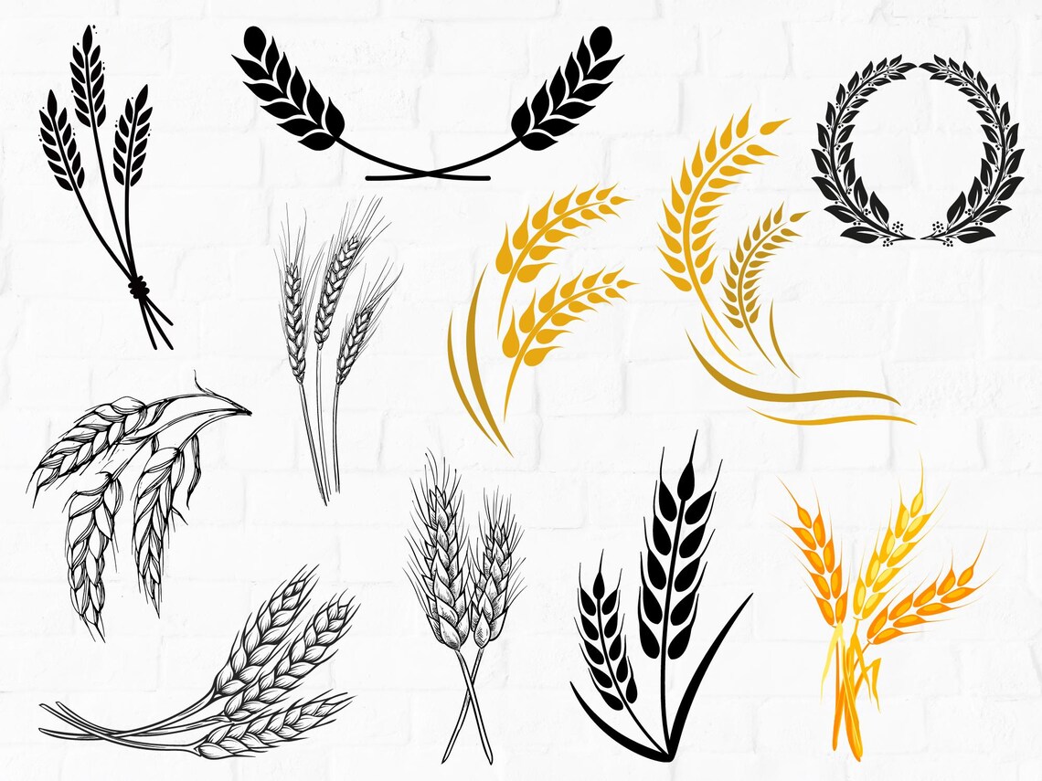 Wheat SVG, Grain Cricut, Wheat Silhouette, Grains SVG, Wheat Clipart ...