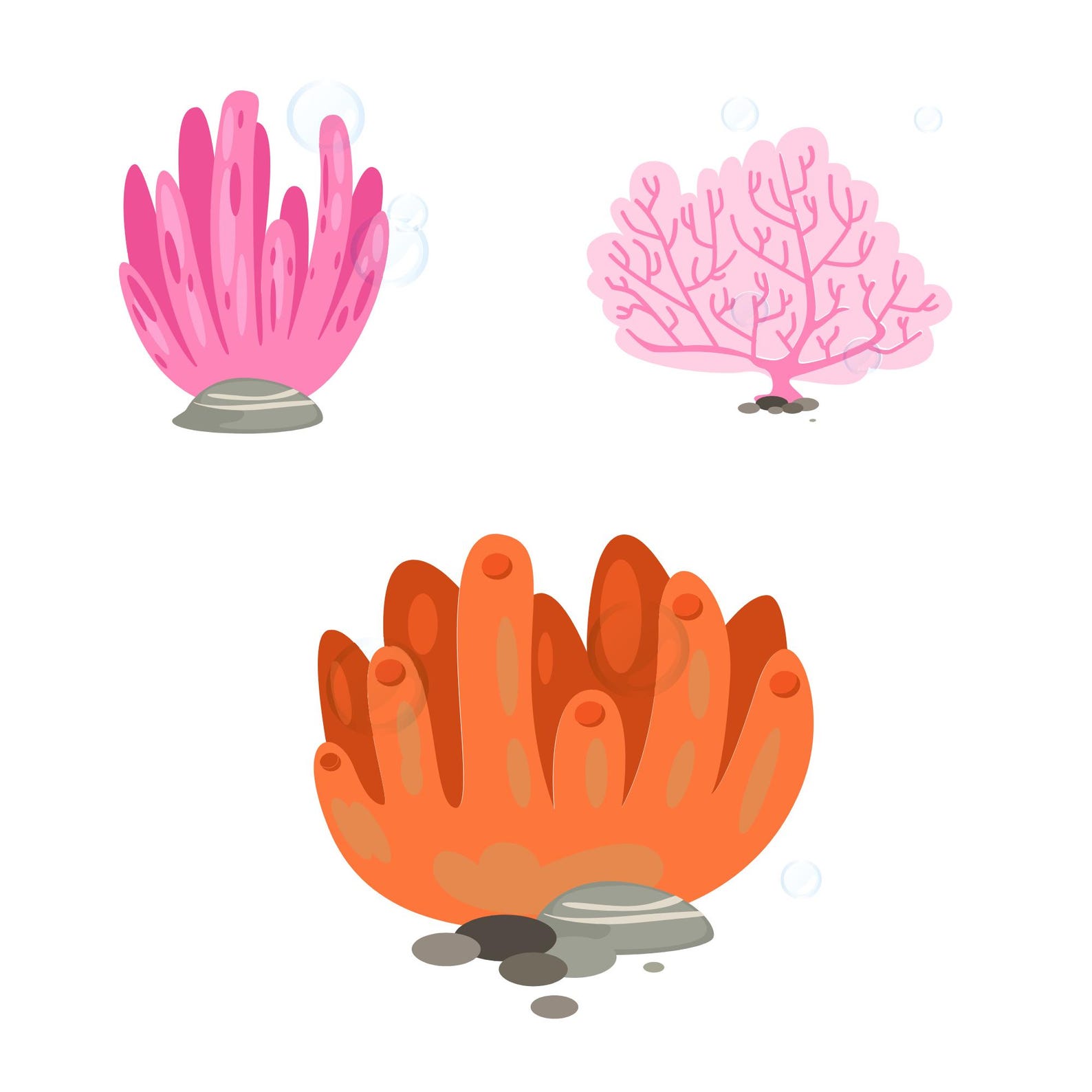 Coral Svg Bundle, Seaweed Clipart, Under the Sea Vector, Underwater ...