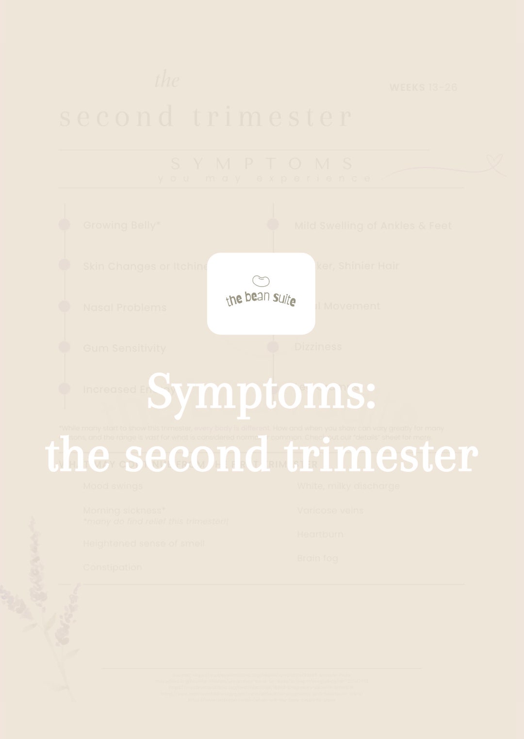 Second Trimester Symptom Guide | Newborn | Pregnancy | Motherhood | 1 ...