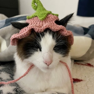 Crochet Flower Cat Hat Pattern, Flower Fairy Crochet Pet Hat, Lily Cat ...
