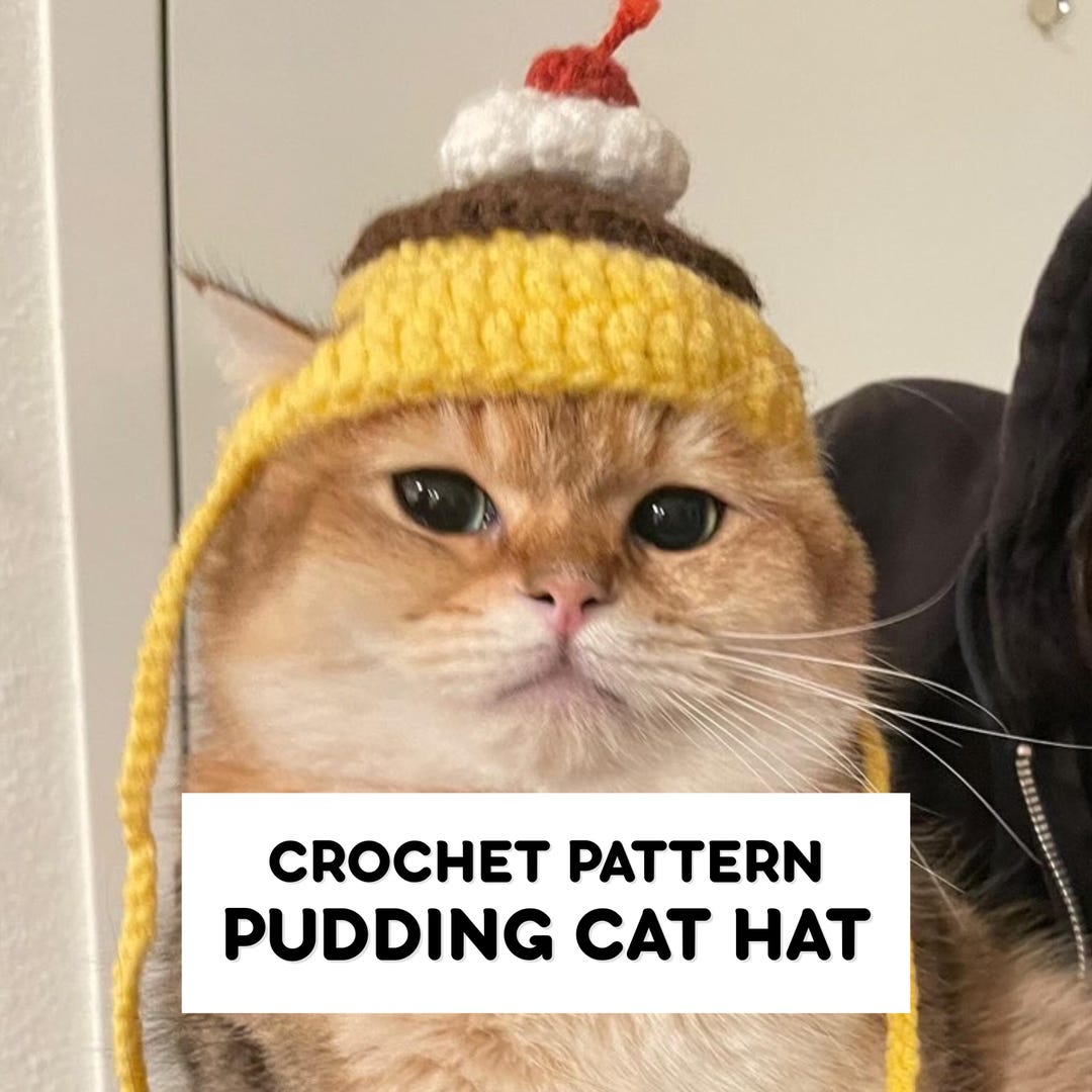 Crochet Pattern Pudding Cat Hat, Suitable for Cats and Small Dogs, PDF ...
