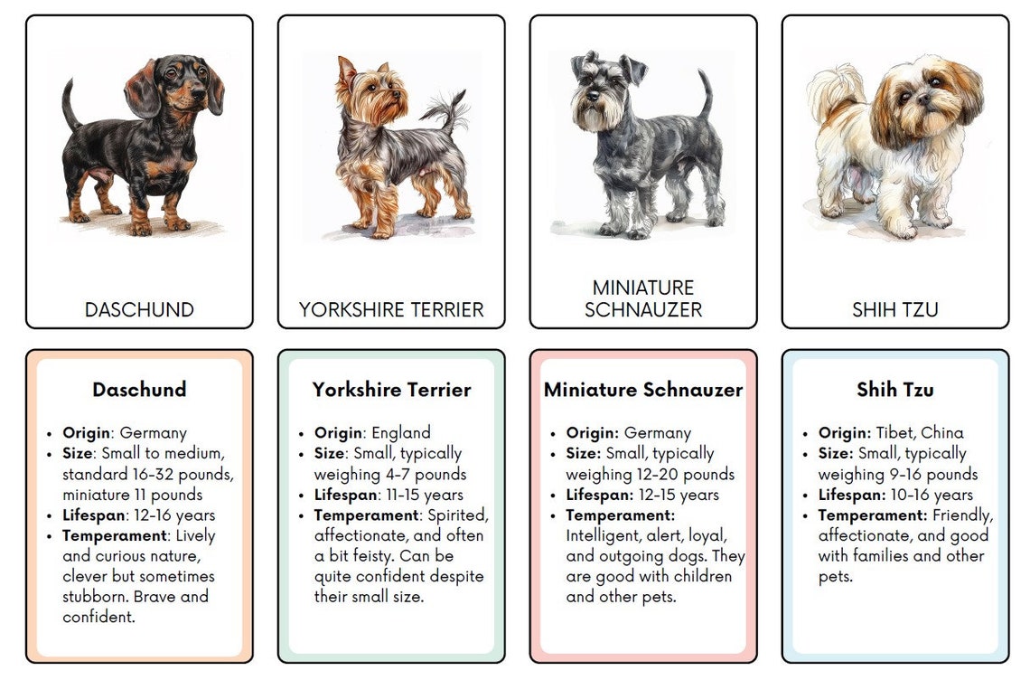 36 Different Dog Breeds, Educational Flashcards With Characteristics ...