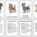 36 Different Dog Breeds, Educational Flashcards With Characteristics ...