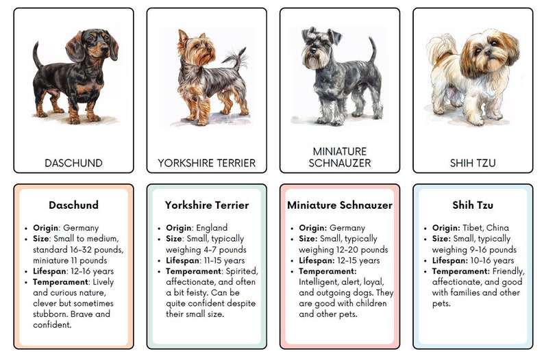 36 Different Dog Breeds, Educational Flashcards With Characteristics ...