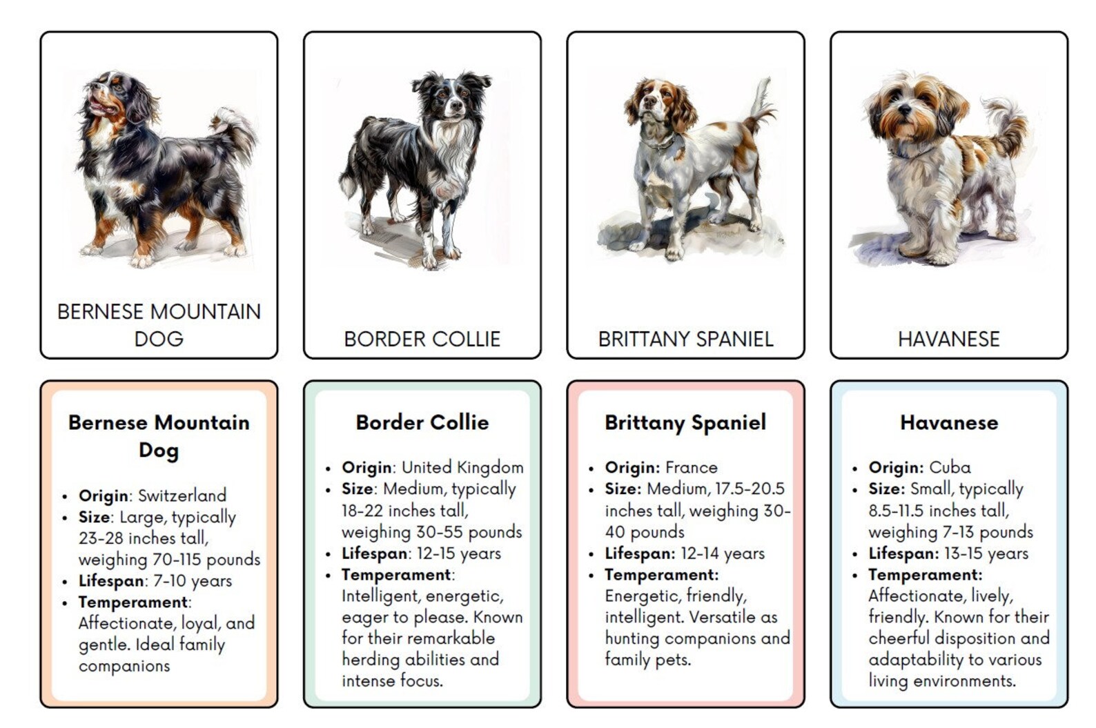 36 Different Dog Breeds, Educational Flashcards With Characteristics ...