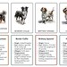 36 Different Dog Breeds, Educational Flashcards With Characteristics ...