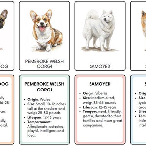 36 Different Dog Breeds, Educational Flashcards With Characteristics ...