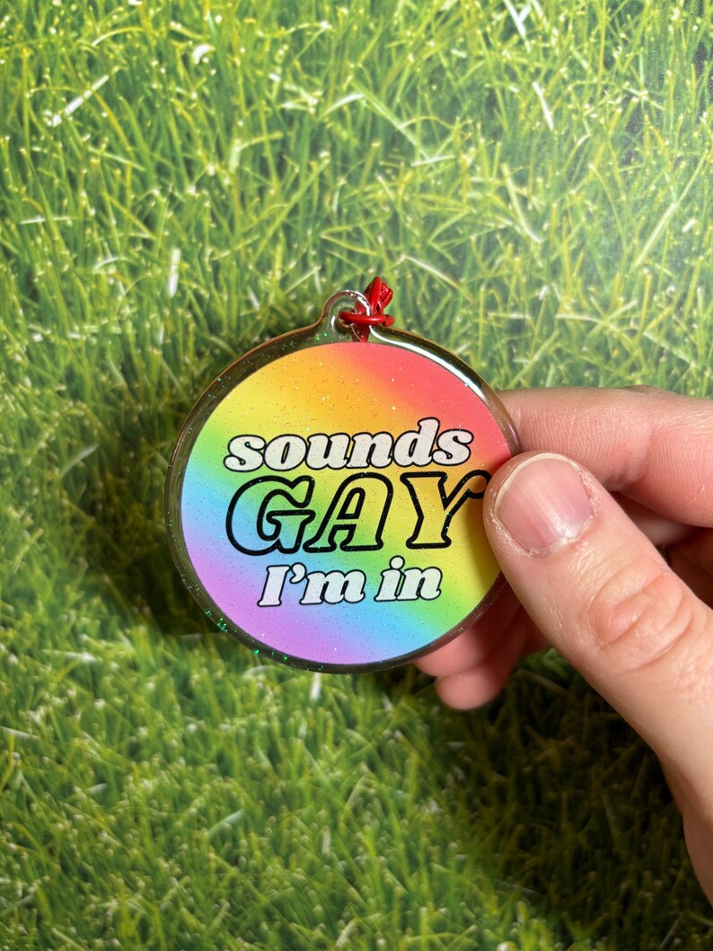 LGBTQIA Keychain Sounds Gay I'm In - Etsy