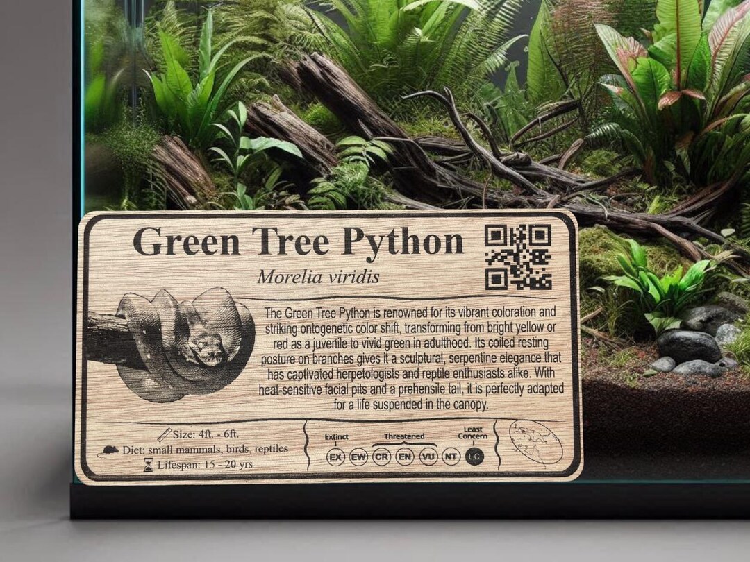 Personalized Green Tree Python Wooden Species Plaque | Any Species ...