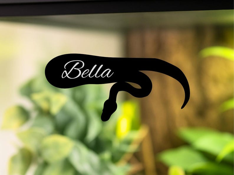 Personalized Acrylic Snake Cage Sign or Wall Art | Any Species | Custom ...