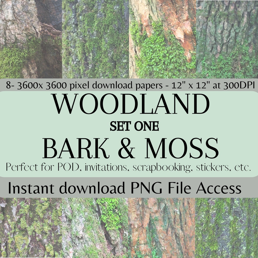 Woodland Bark and Moss Textures Set One- Rugged Natural Textures of ...
