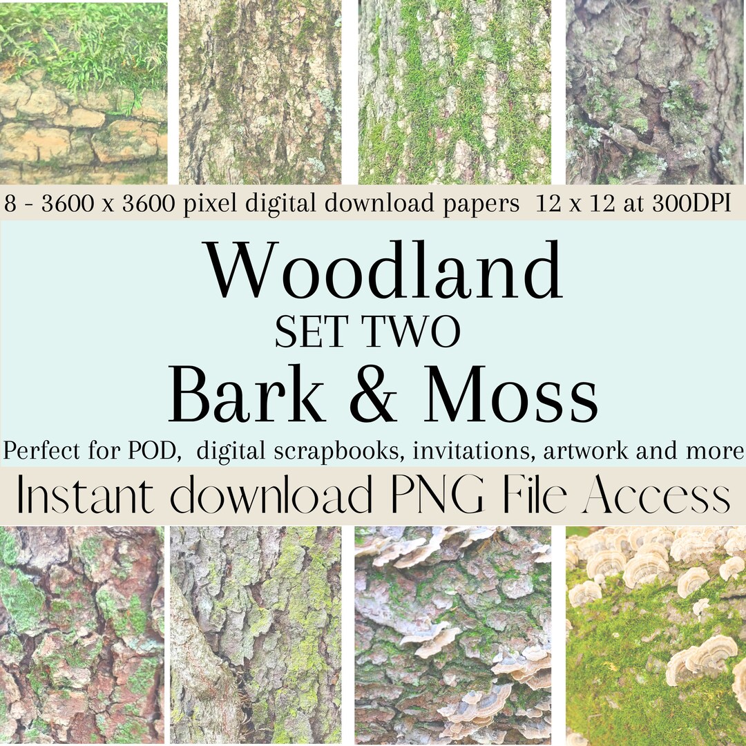 Woodland Bark and Moss Textures Set Two- Rugged Natural Textures of ...