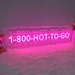 HOT TO GO Neon Sign, Midwest Princess ,gift for Hot Girls, Chappell ...