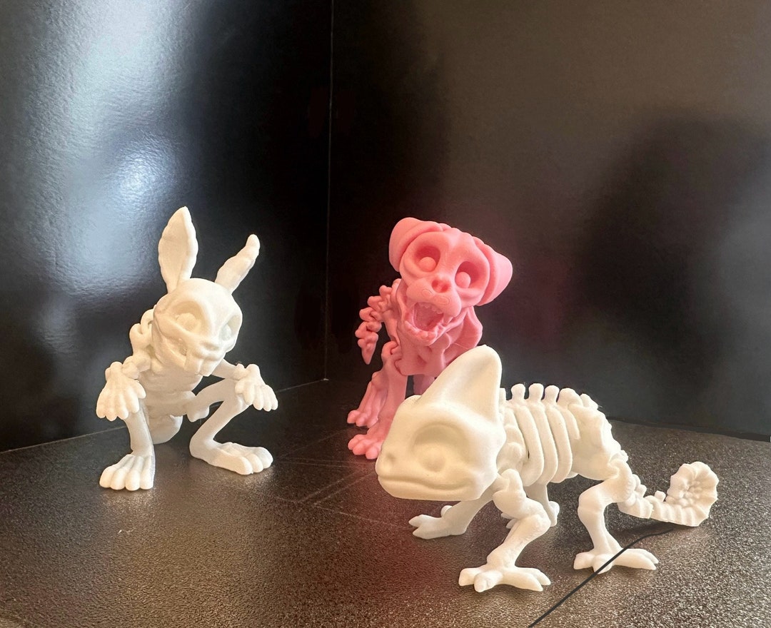 Variety of Articulated Skeleton Animals - Etsy