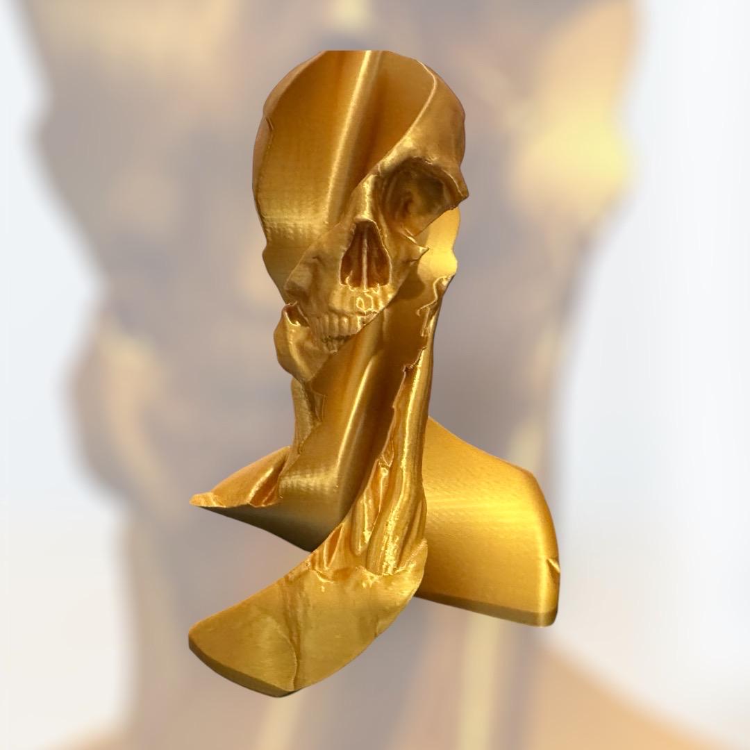 Head & Skeleton Fidget Toy: 3D Printed Articulated Stress Relief Gadget ...