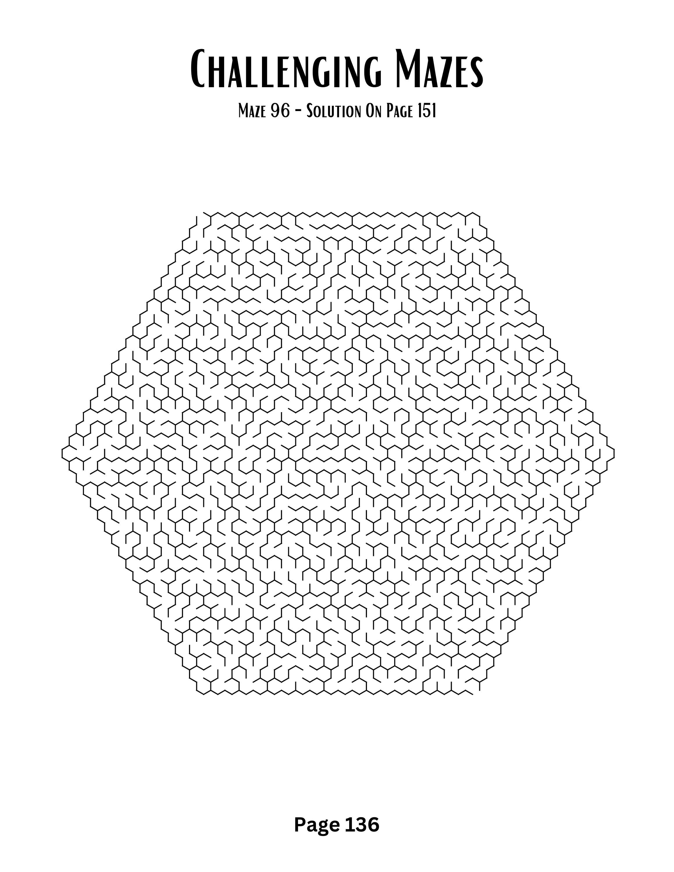 100 Large Format Mazes for Adults and Seniors - 5 Types of Mazes With 4 ...