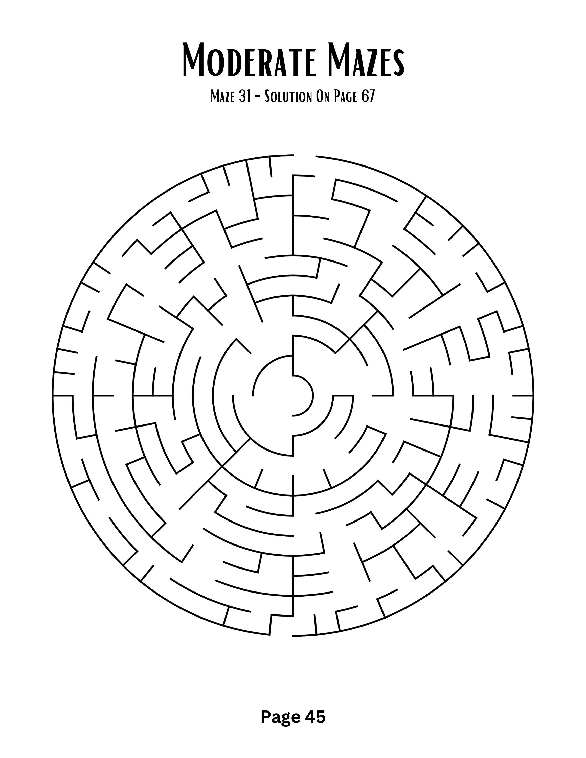 100 Large Format Mazes for Adults and Seniors - 5 Types of Mazes With 4 ...