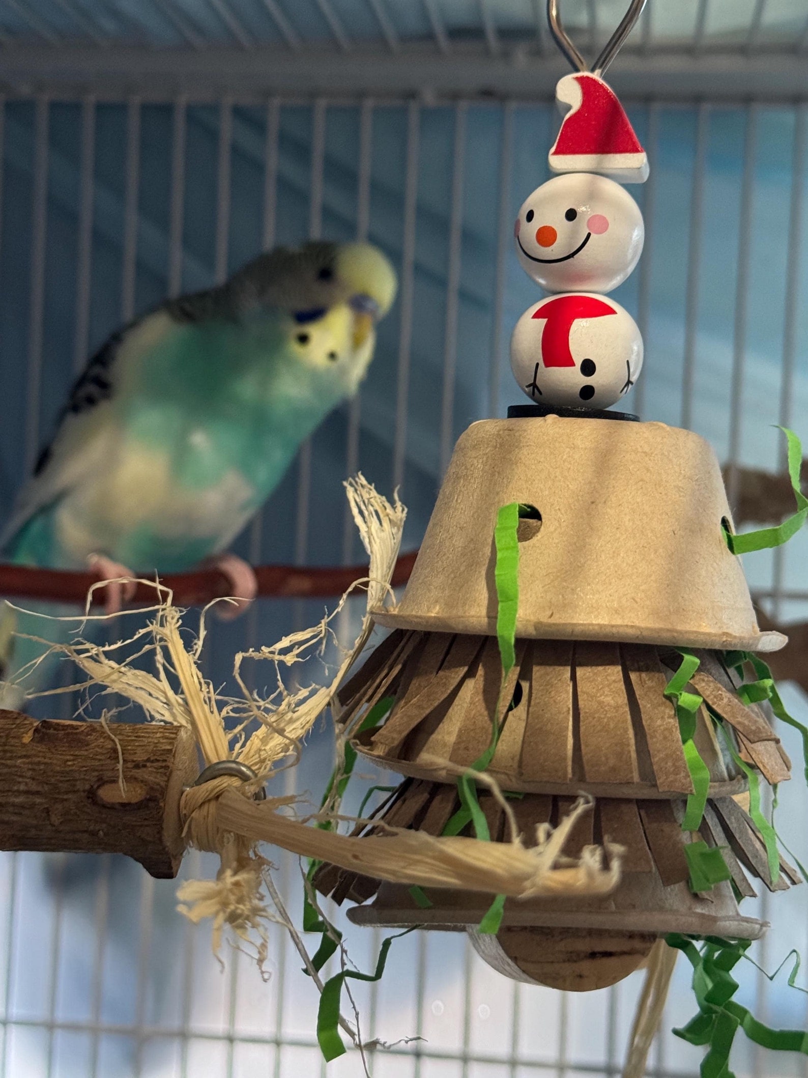 Christmas Holiday Snowman Hanging Bird Toy Eco Friendly Bird Toy for ...