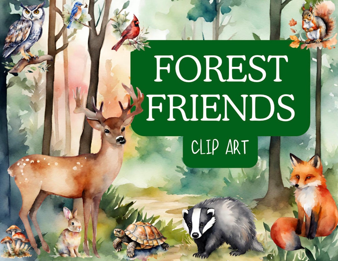 Enchanted Forest Friends: Watercolor Woodland Creatures Clip Art Set ...
