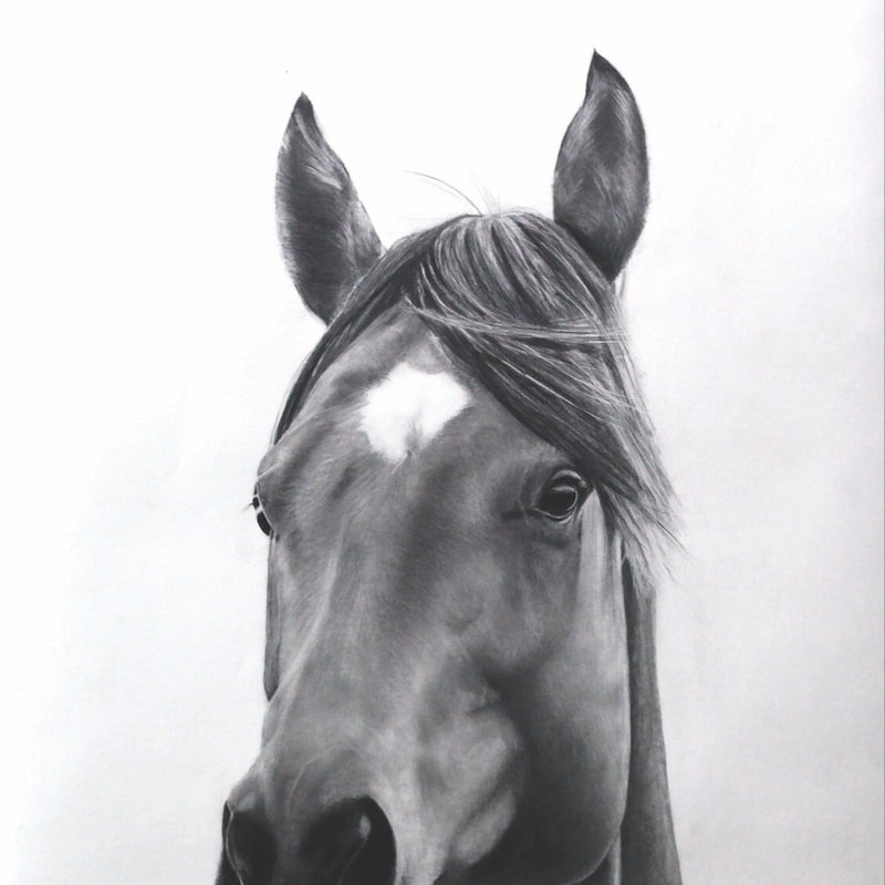 Graphite Drawing - Etsy