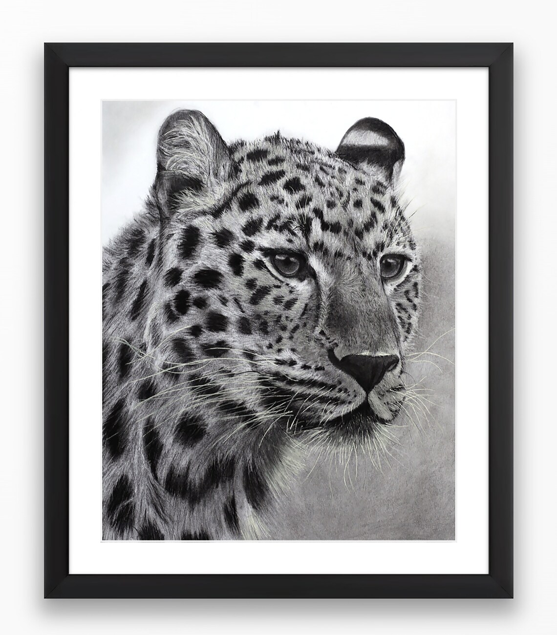 Leopard Charcoal Drawing - Realism Fine Art Print - Etsy UK