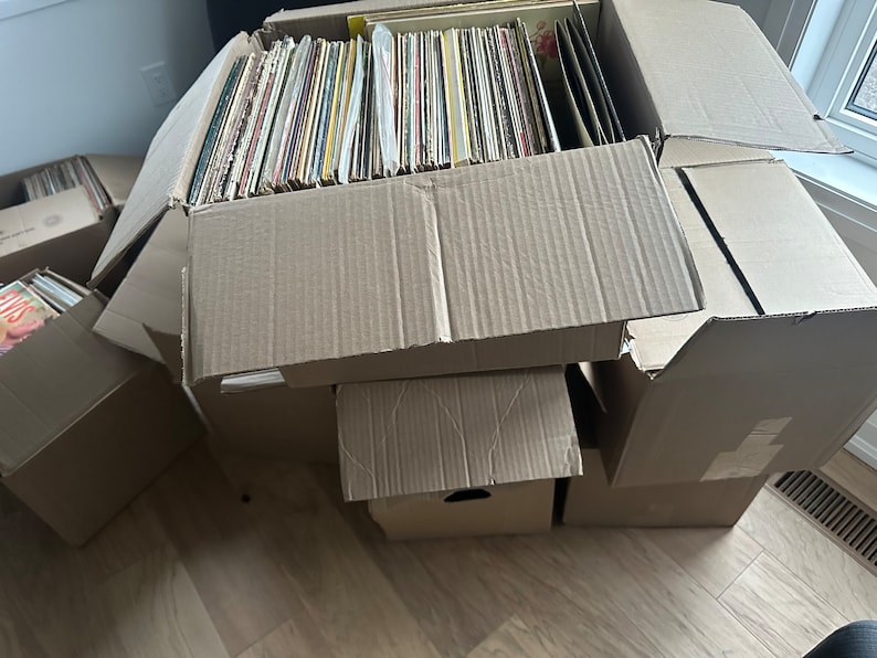 Eclectic Vinyl Vibes: A Diverse Collection of 10 Random Vinyl Records ...