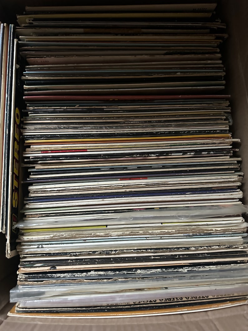 Eclectic Vinyl Vibes: A Diverse Collection of 10 Random Vinyl Records ...