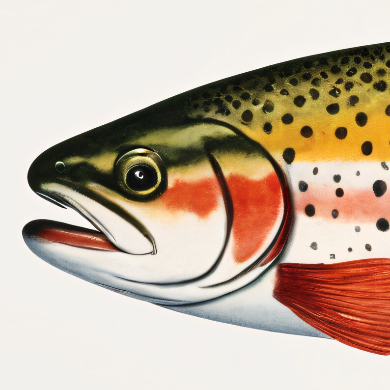 Retro Minimalist Trout Print | Classic Fish Print | Angler Wall Art ...