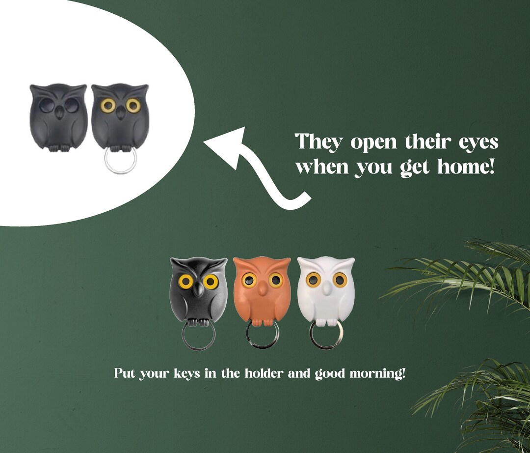 Blinking Owl Magnetic Key Hooks: Functional, Adorable Wall Decor and ...