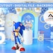 Sonic - Cutout, Party Decoration Sonic Theme, Birthday Party, Standing ...