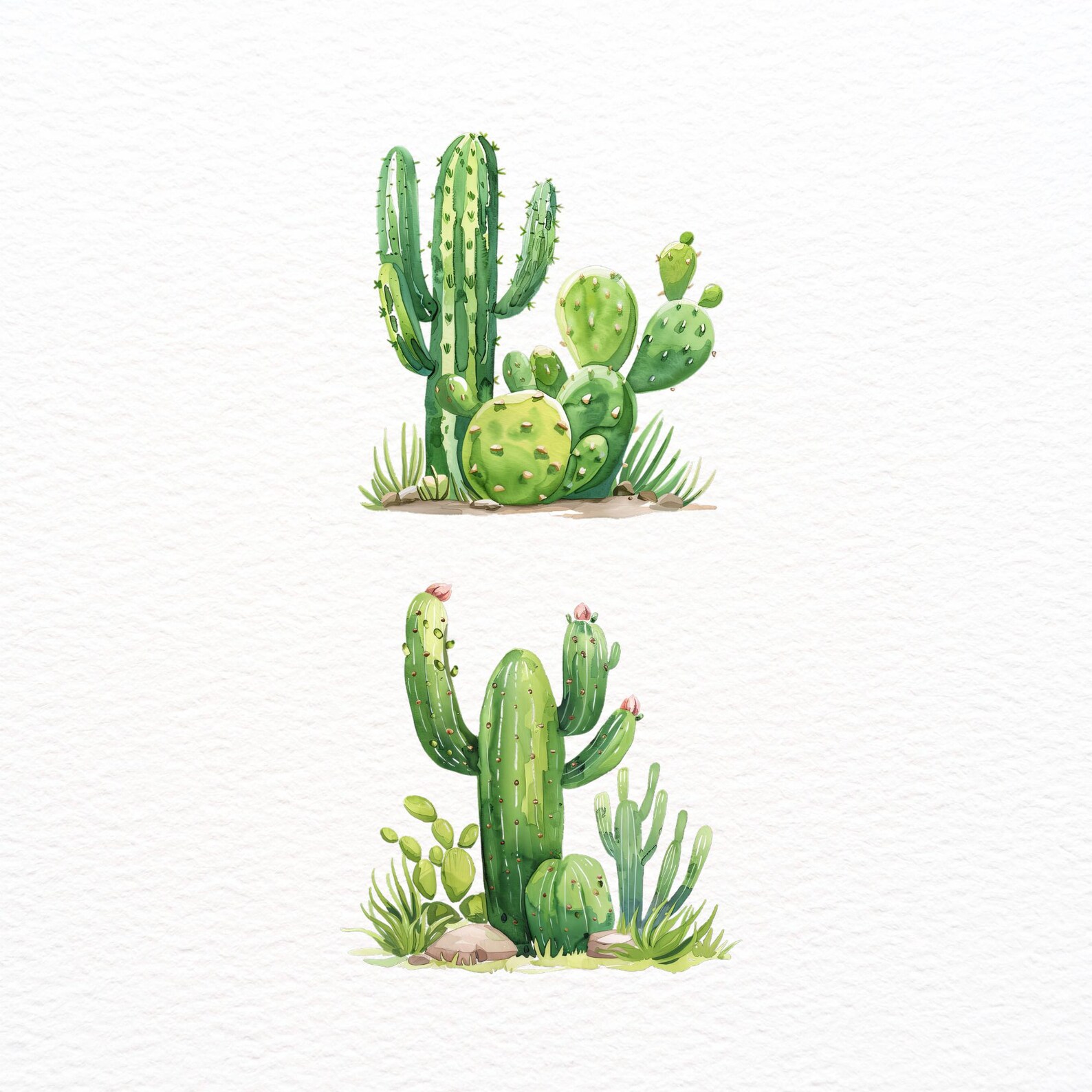 Watercolor Cactus Clipart Bundle, Desert Cactus Clipart, Printable ...