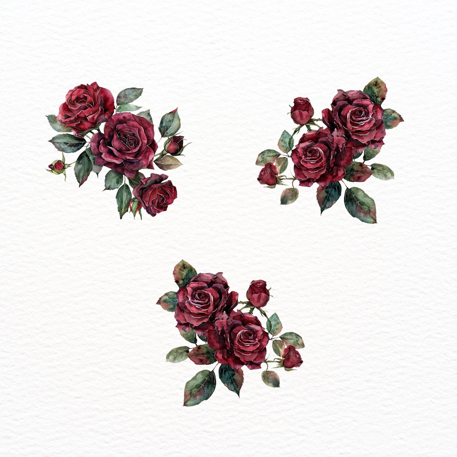 11 Watercolor Burgundy Roses Clipart, Watercolor Rose Floral Clipart ...