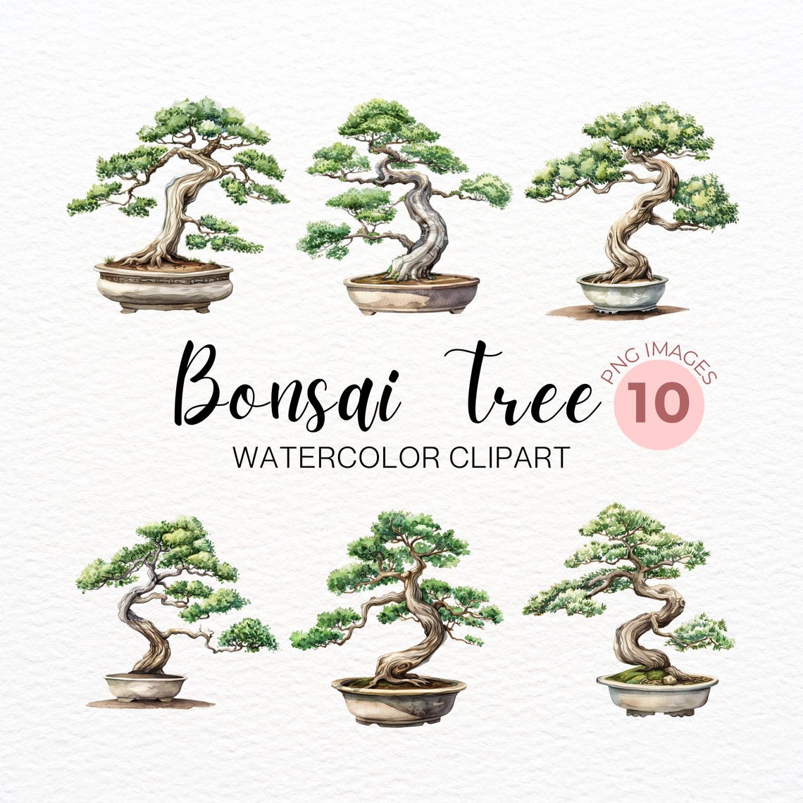 10 Bonsai Tree Clipart, Mini Tree Clipart, Printable Watercolor Clipart ...