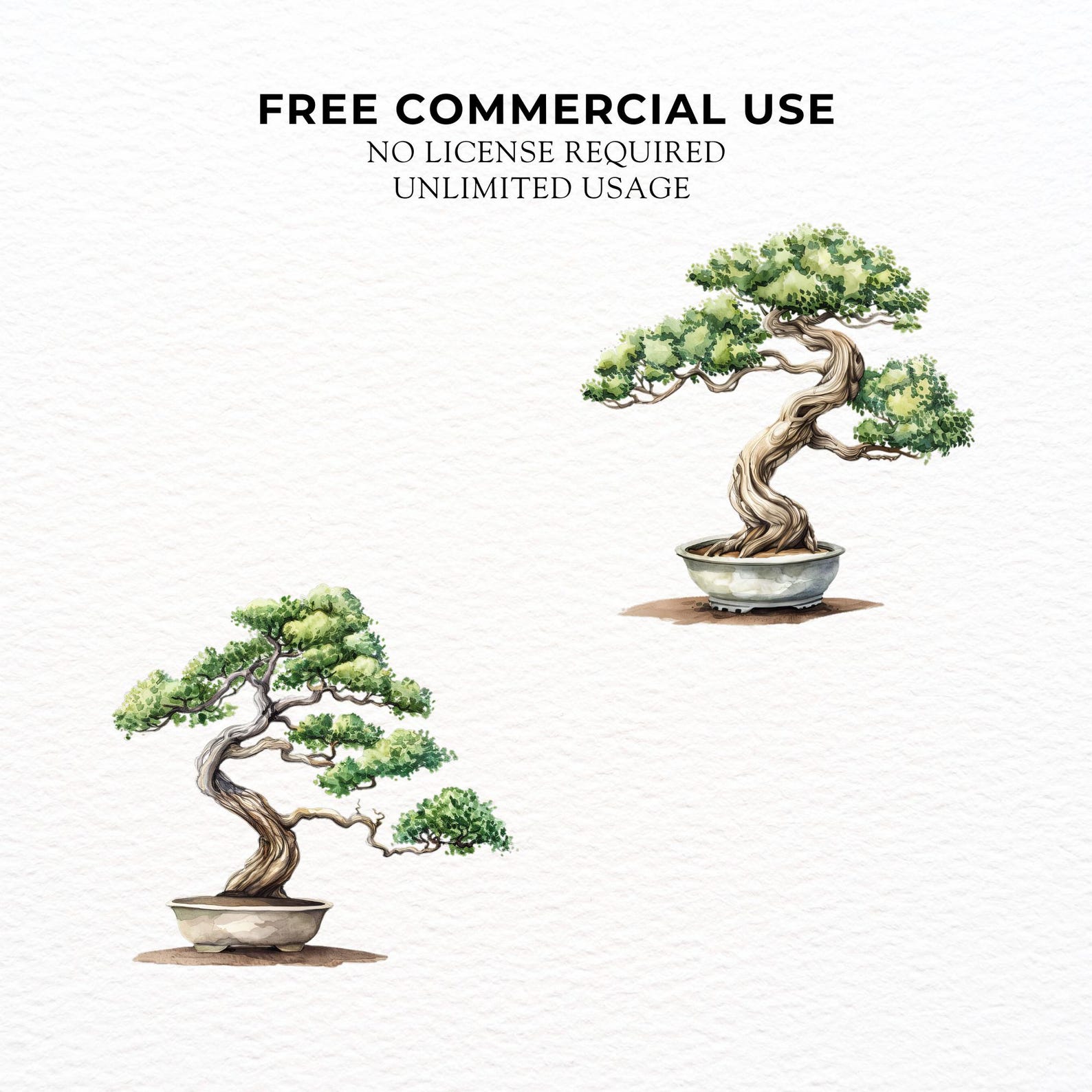 10 Bonsai Tree Clipart, Mini Tree Clipart, Printable Watercolor Clipart ...